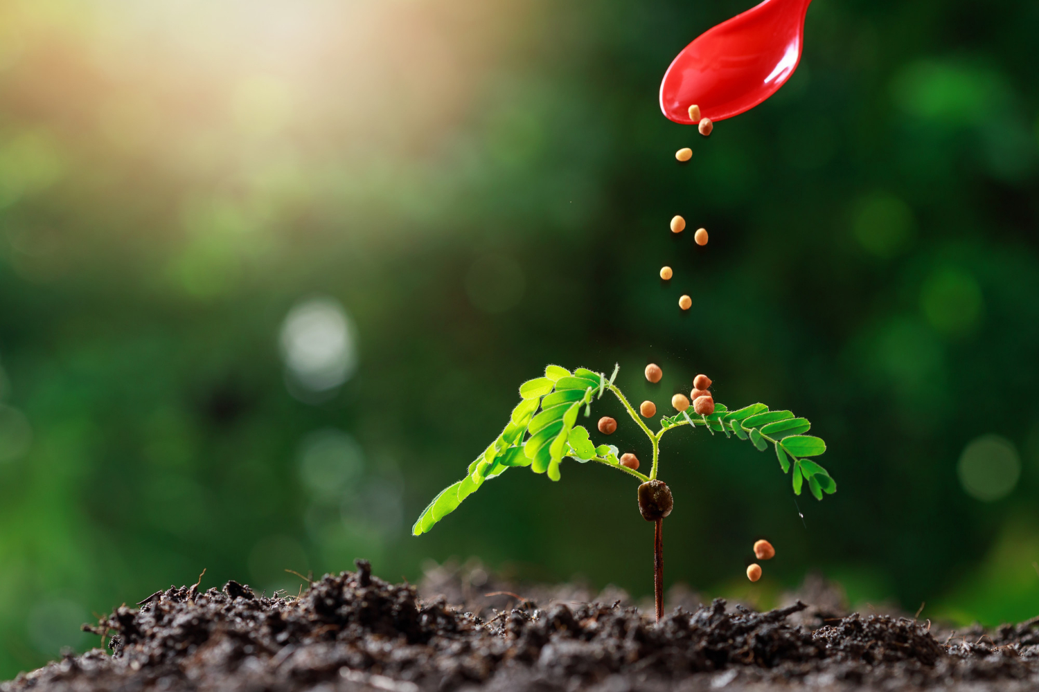 SARL AGRIA INDUSTRIE ALGERIE – Producteurs d'engrais